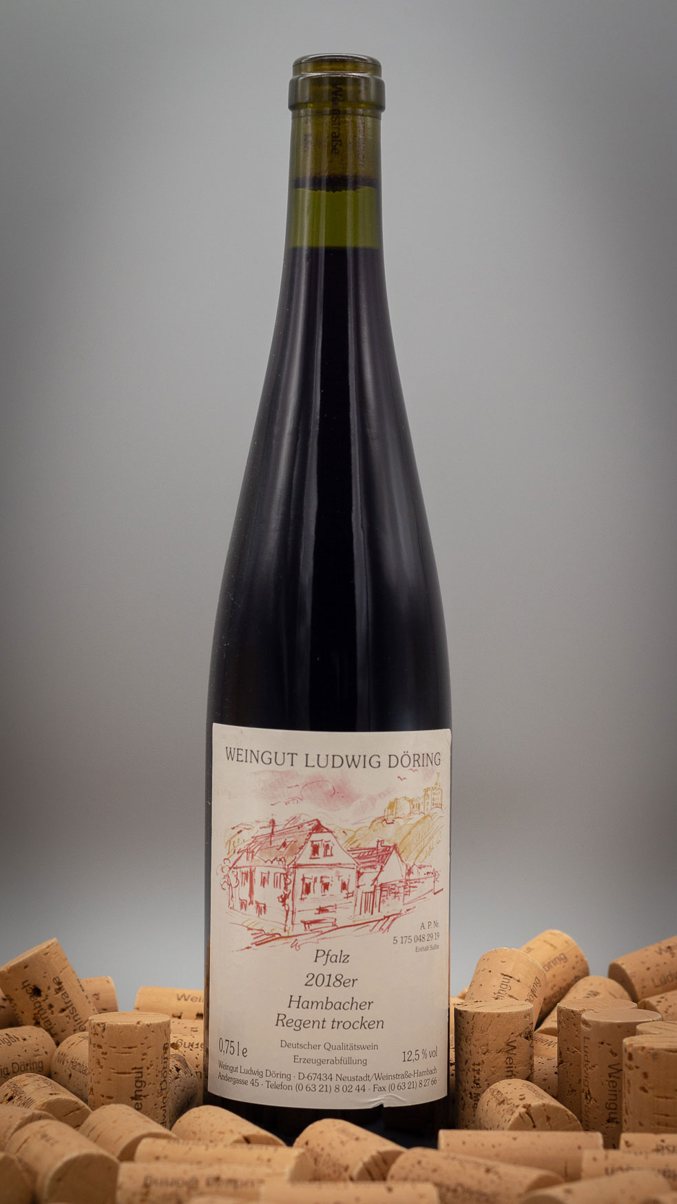Hambacher Regent trocken 2022 - Shop | Weingut Ludwig Döring